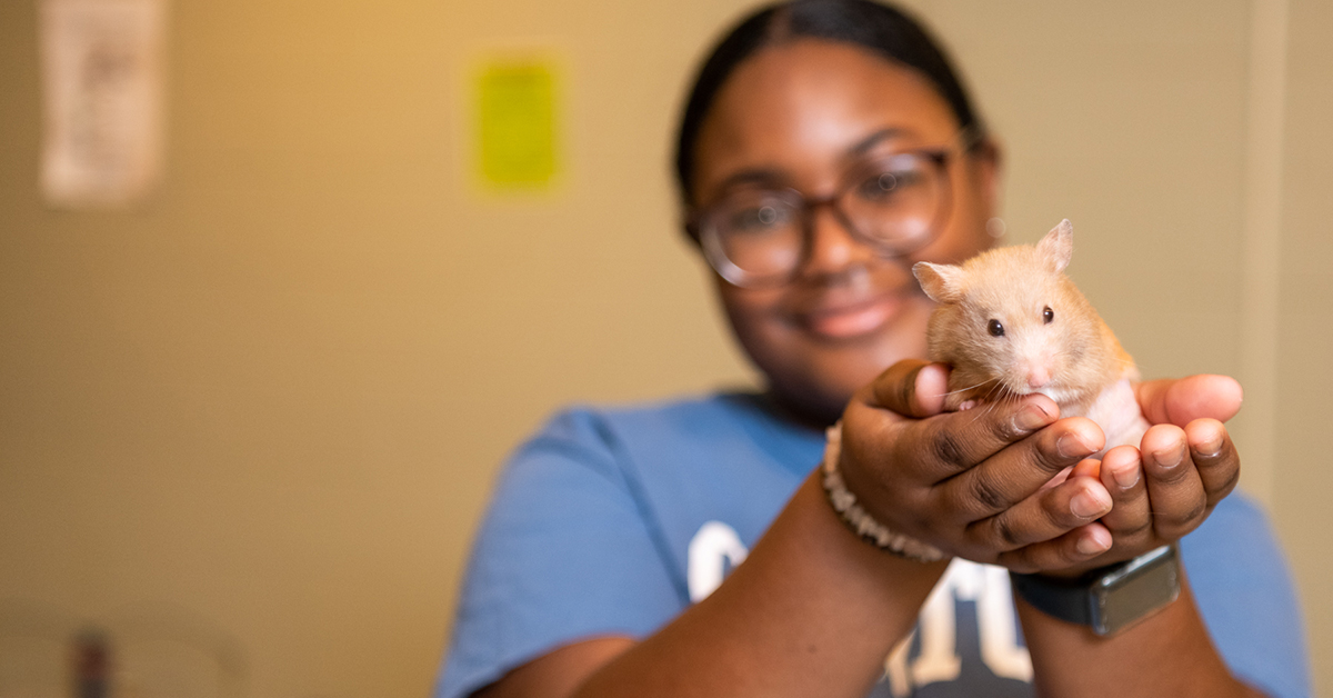 2021: SUNY Canton Pet Wing Featured on ‘Inside Higher Ed’ Website ...